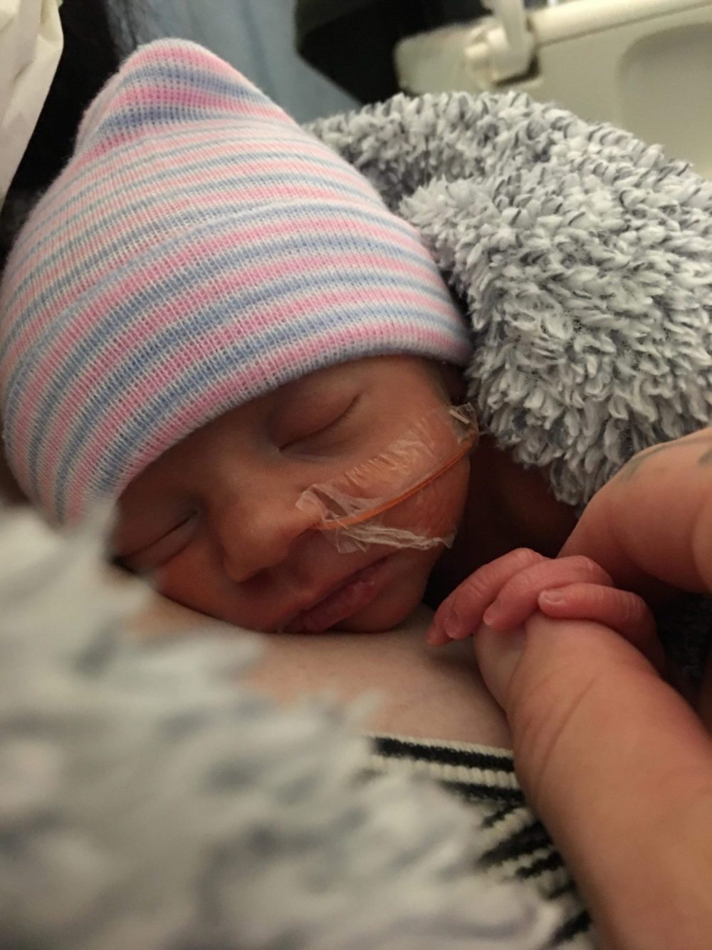 The Story of Francis Junebug - Hand to Hold