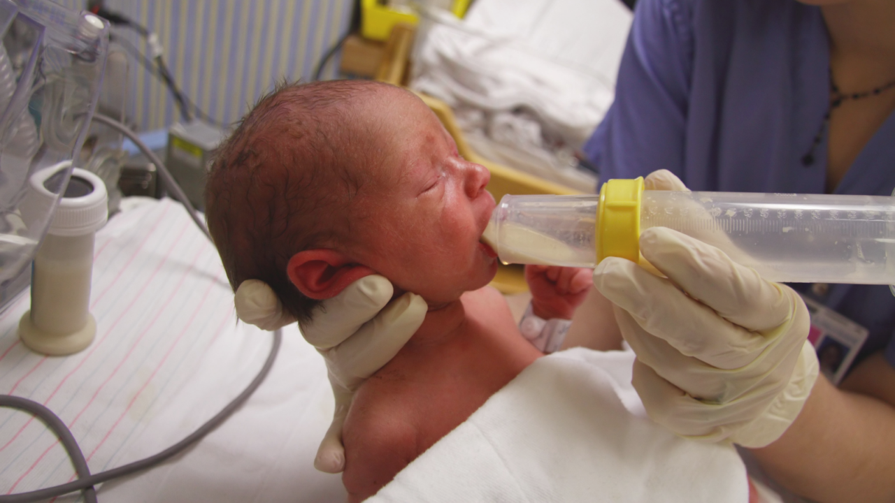 Know Your NICU Nutrition: The Importance of Appropriate Nutrition in ...